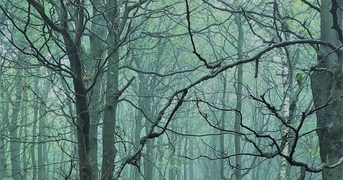 Knapp Circular - Brisk Pace - Ramblers